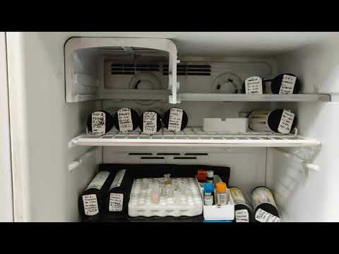 Reconstitution Calibrator/Quality Control handling/Storage/Standing ...