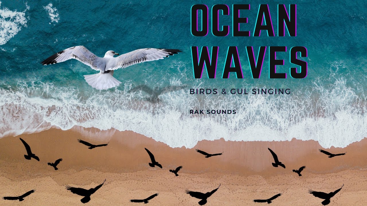 Ocean Serenity: Relaxing Waves and Soothing Seagull Sounds | Sleeping ...