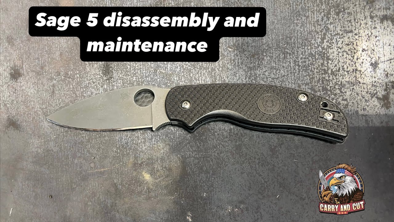Spyderco Sage 5 disassembly and maintenance @the_knights_edge - YouTube