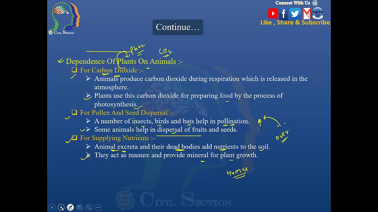 Class 7th Science Chapter 17 YouTube class-7th-science-chapter-17-youtube