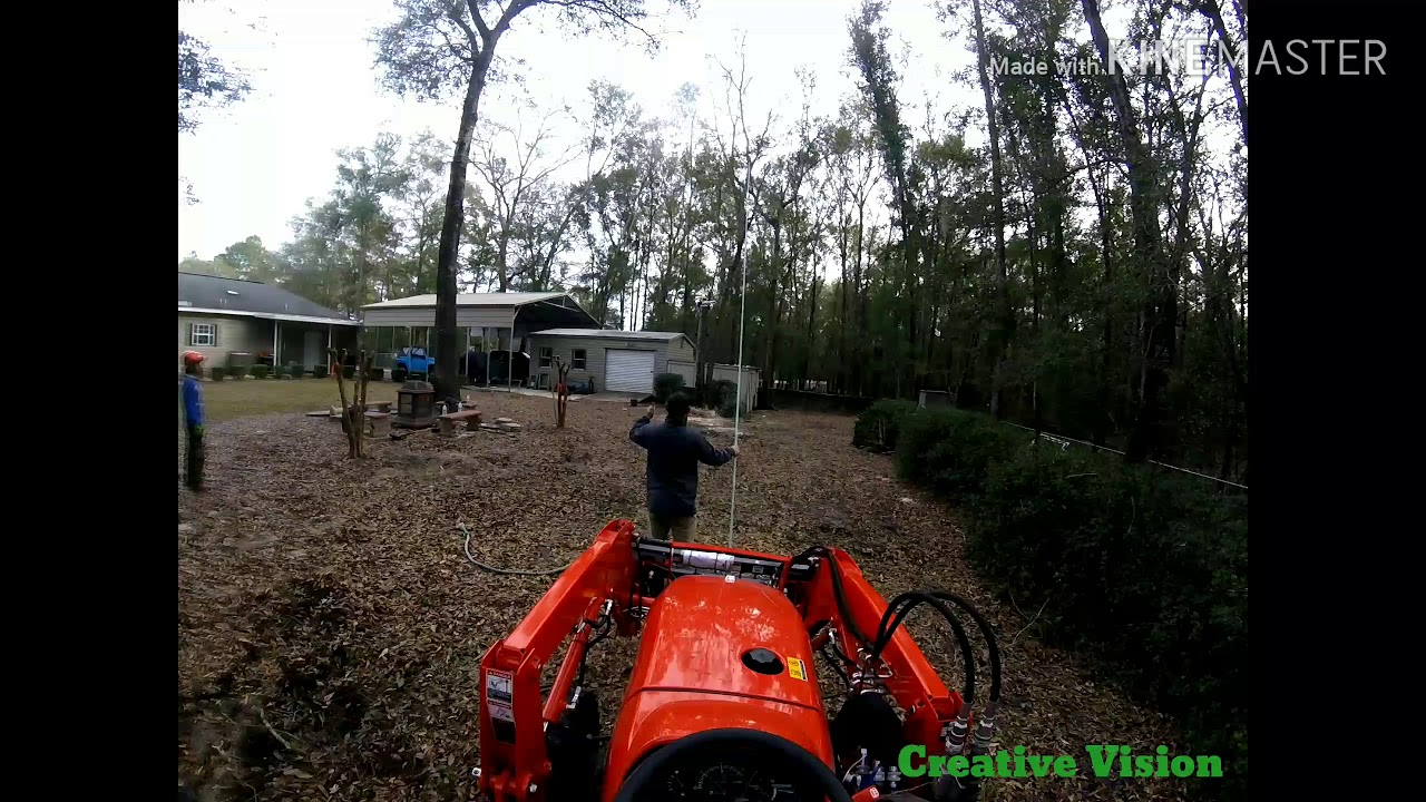 Pulling over tree with tractor - YouTube