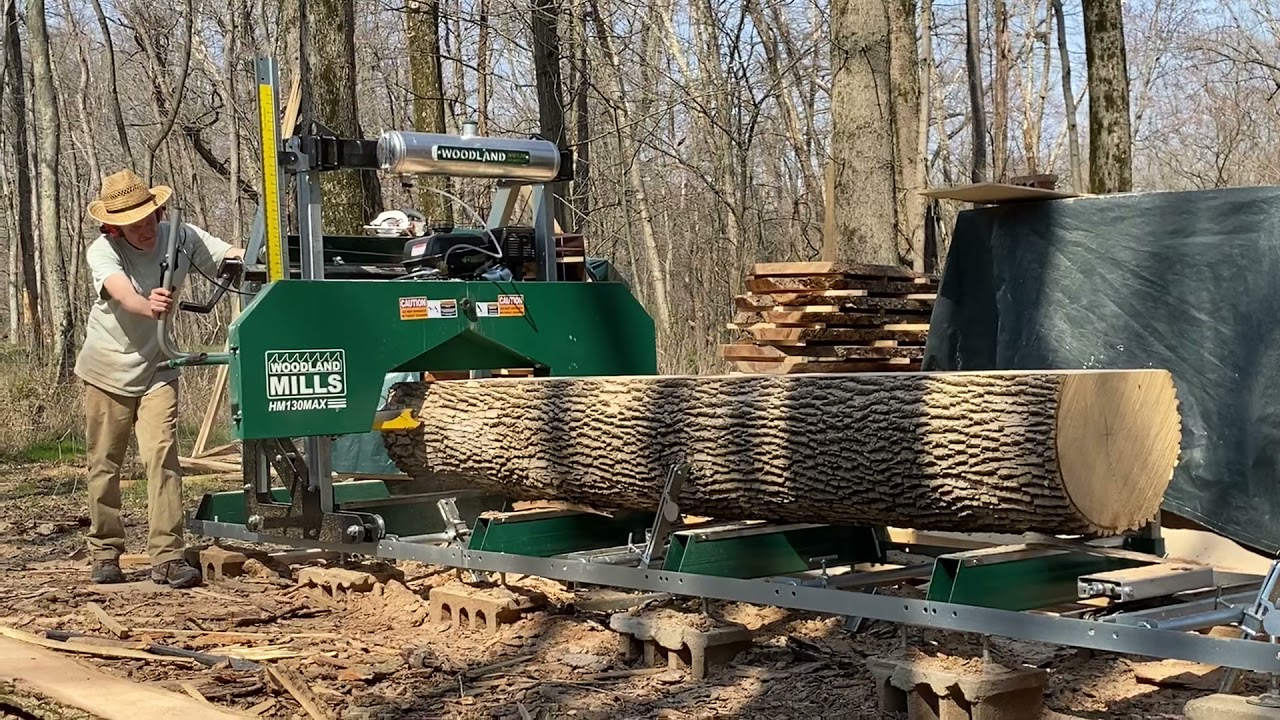 Ash tree lumber on sawmill - YouTube