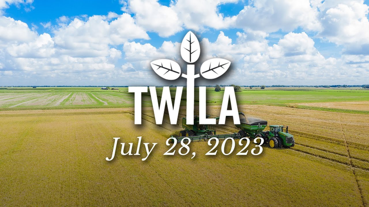 TWILA -- July 28, 2023 - YouTube