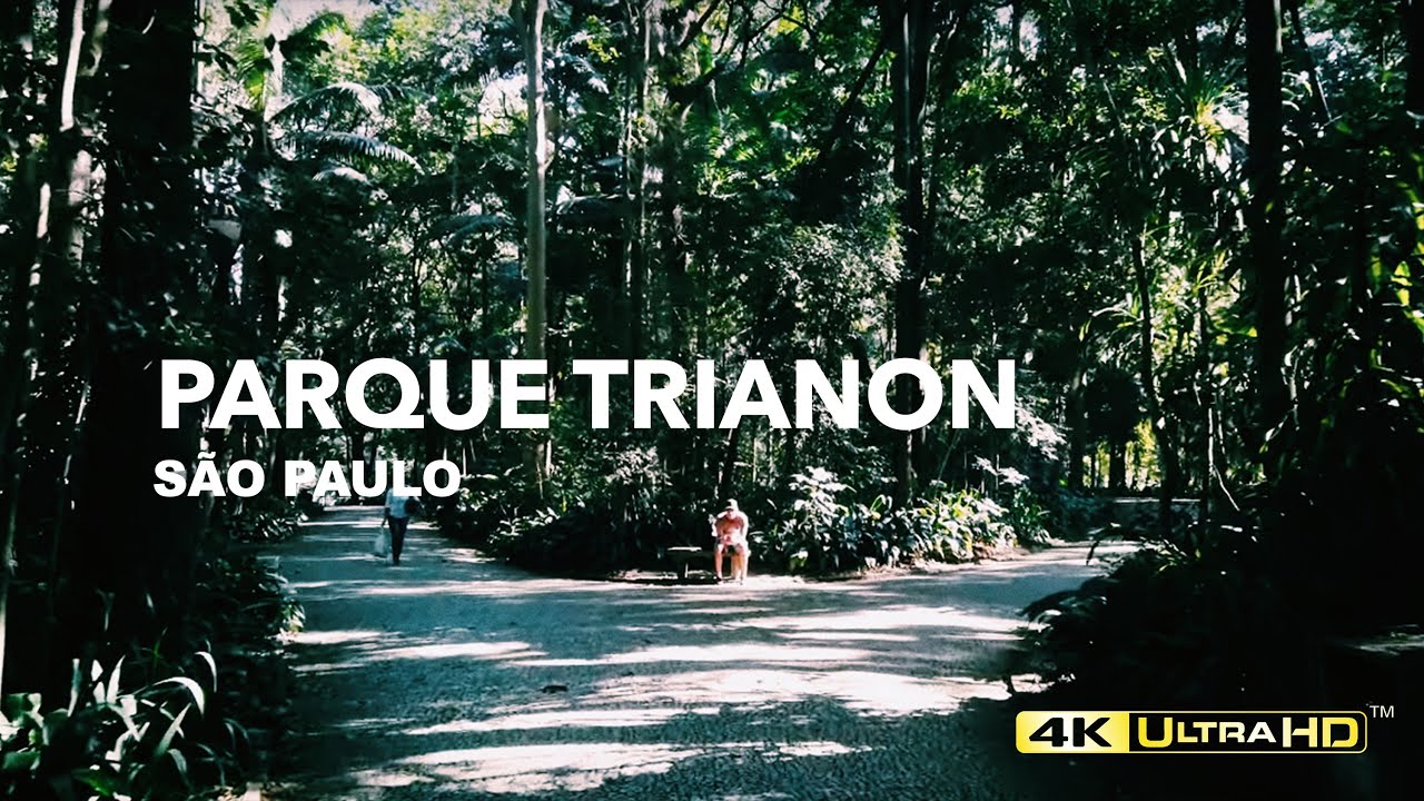 4k | Walking in Sao Paulo | Parque Trianon - Avenida Paulista - YouTube