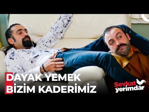 Beceriksiz Şefik'in Kötülük Dolu Bir Günü - Şevkat Yerimdar