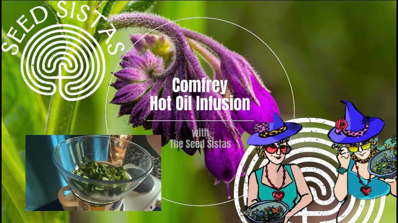 Making a Comfrey Hot oil Infusion for Sprains and Bruises - YouTube