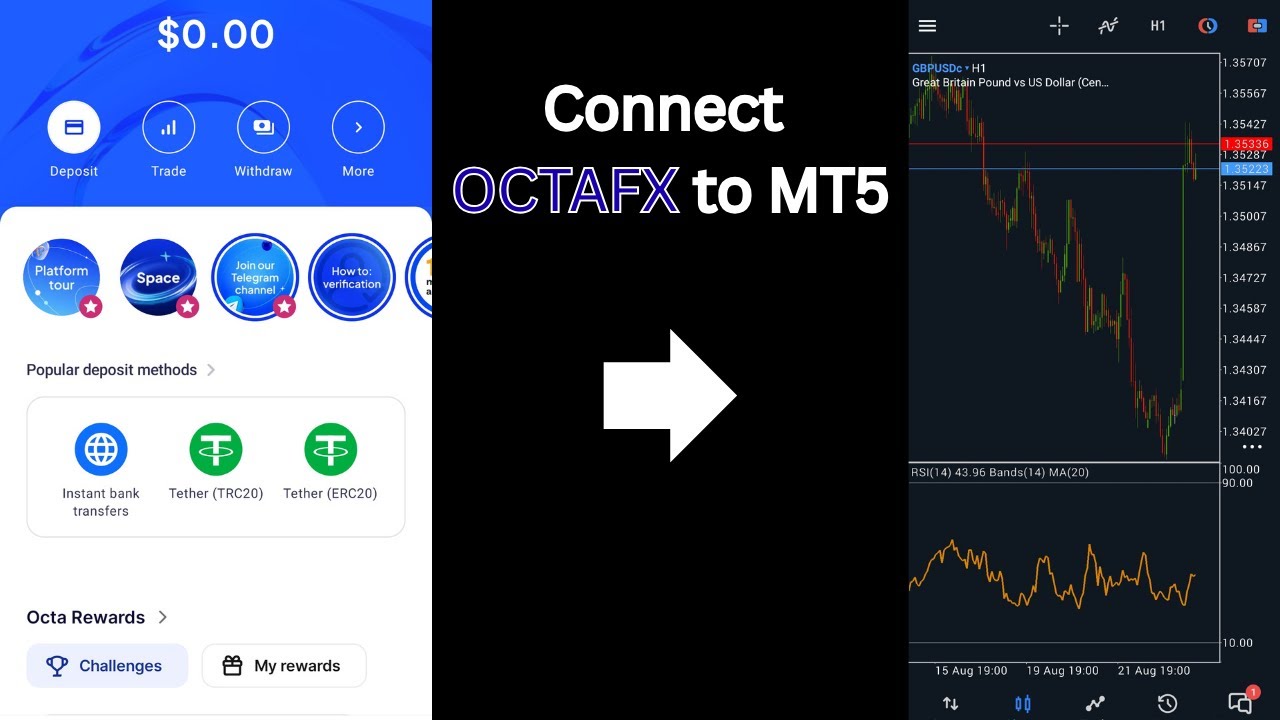 How to Link OCTAFX Trading Account to Metatrader 5 (How to Connect ...