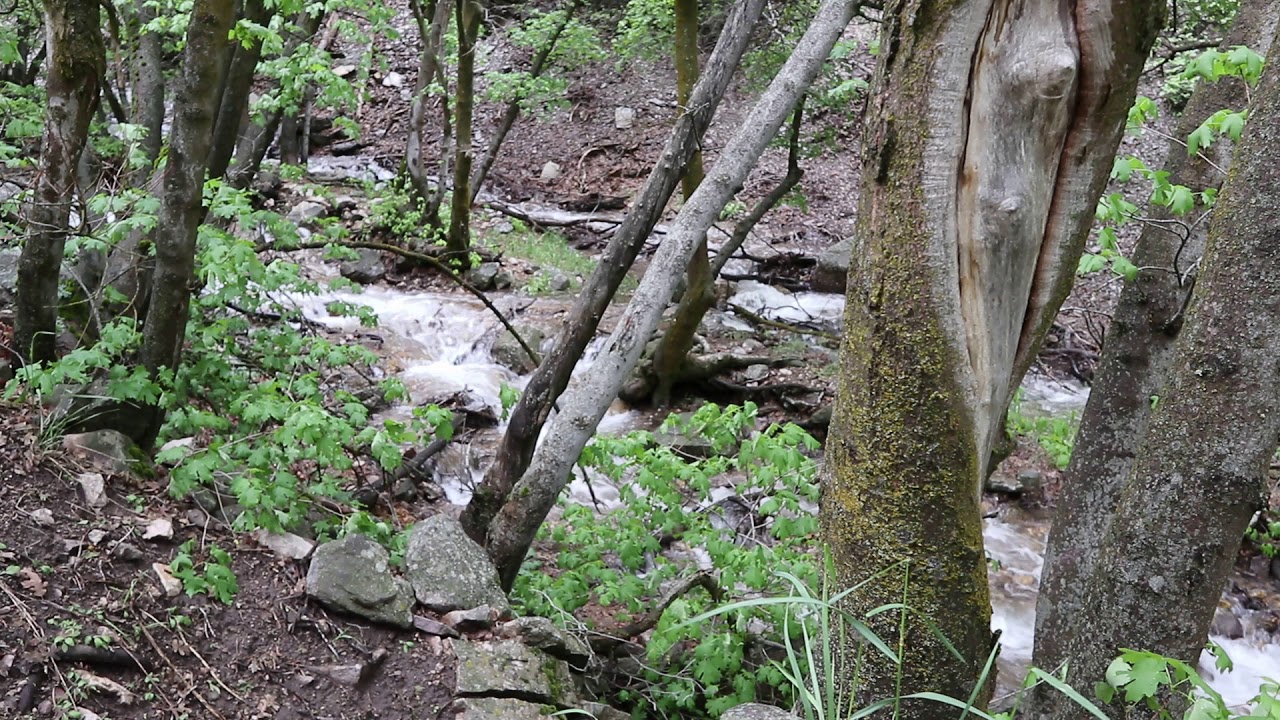 Utah Spring Creek - Nature Sound - Calm Meditating Short Film - Part 2 ...