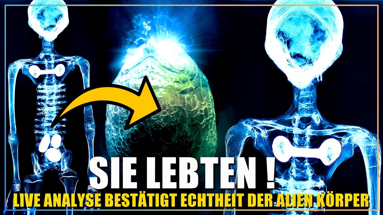 Sie sind doch echt! Spektakuläre LIVE Analyse bestätigt Echtheit der ...