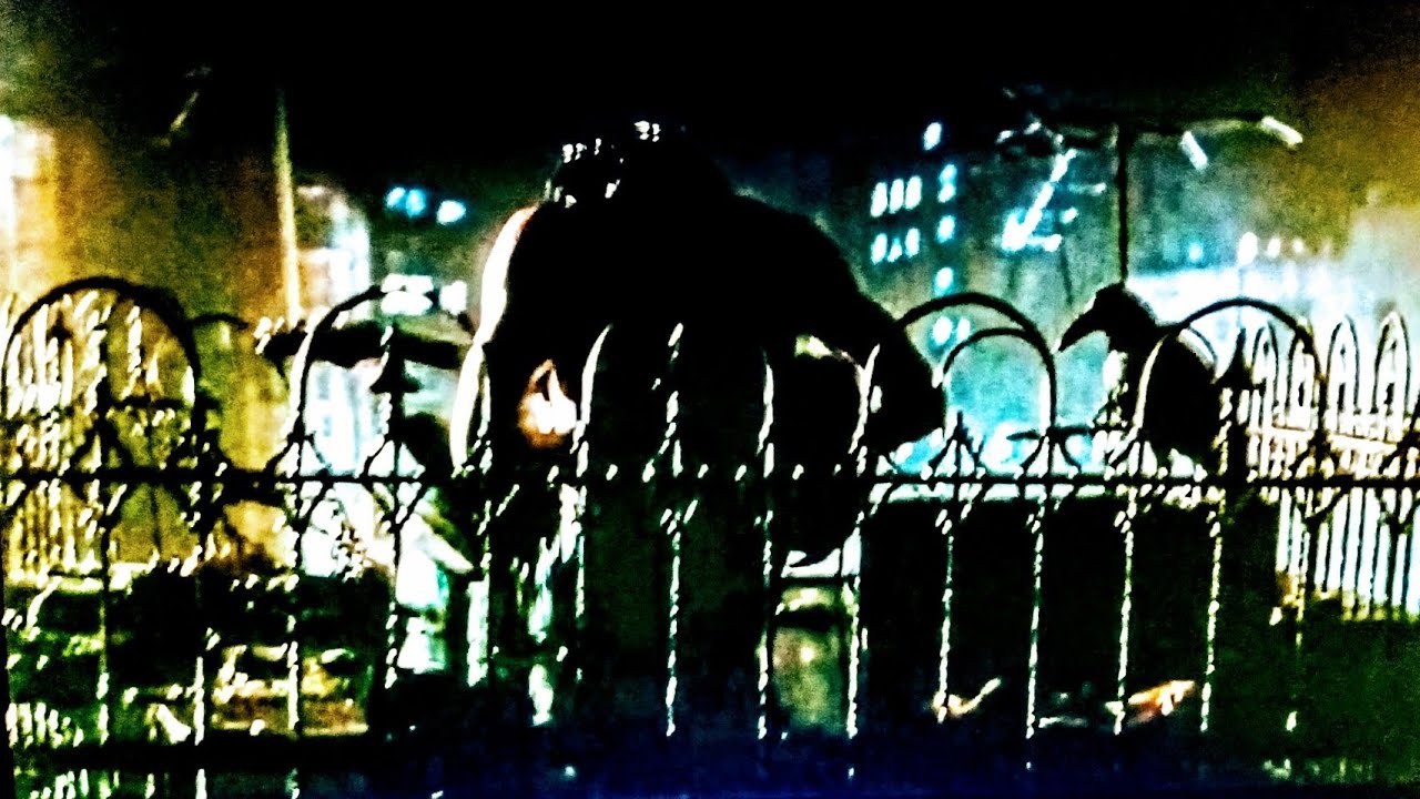 cinema 1994: the second best movie was THE CROW - YouTube