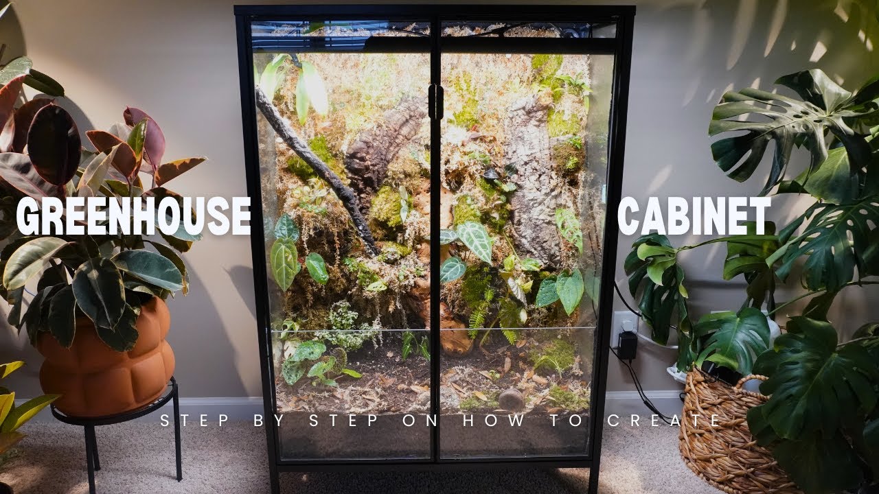 Creating a Bioactive Terrarium from an IKEA greenhouse cabinet - YouTube