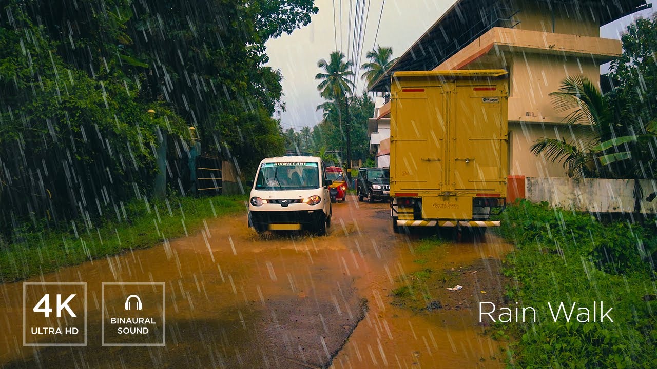 Monsoon Rain Walking along a small Village Road in Kerala, India ...
