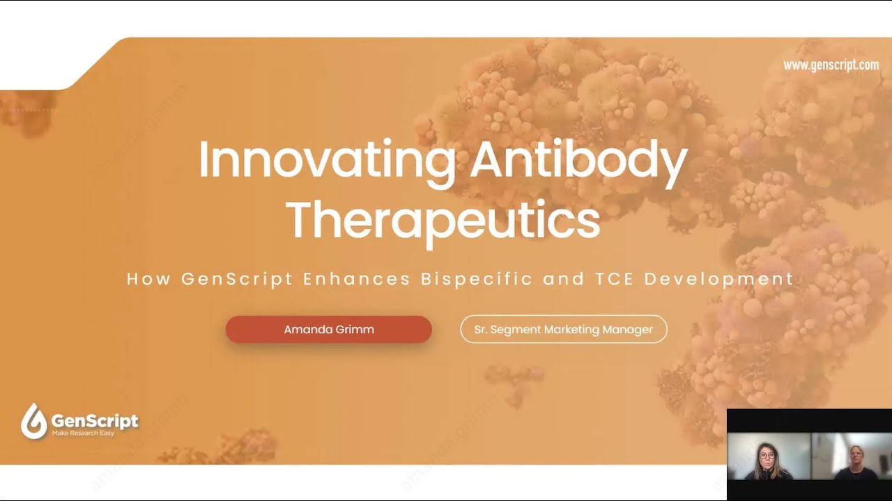 Innovating Antibody Therapeutics How GenScript Enhances Bispecific and ...