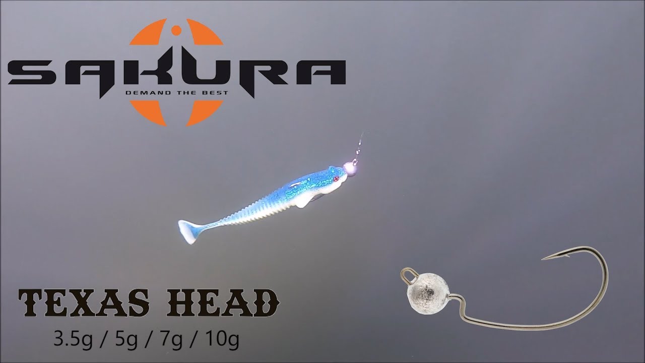 Texas Head - YouTube