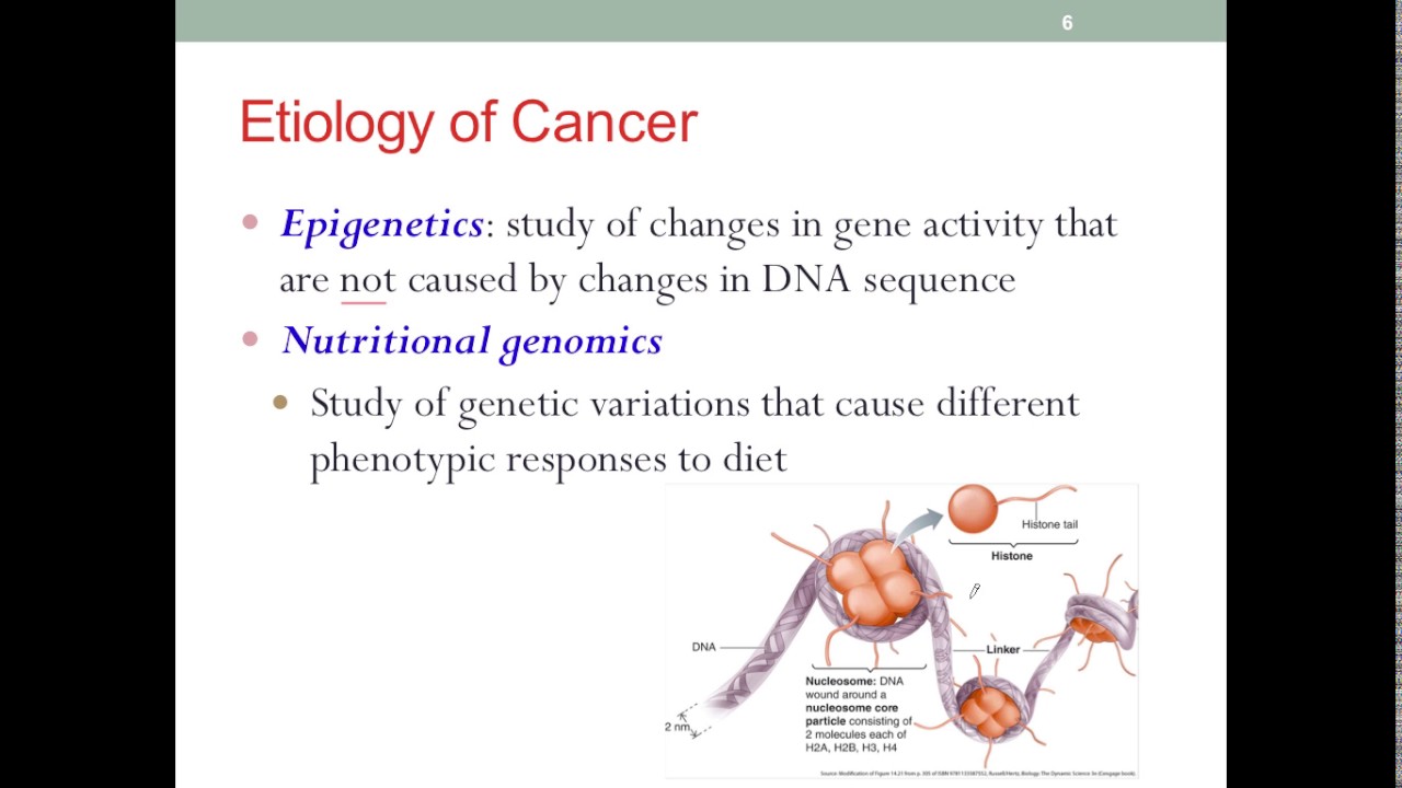 MNT Cancer Part 1 - YouTube
