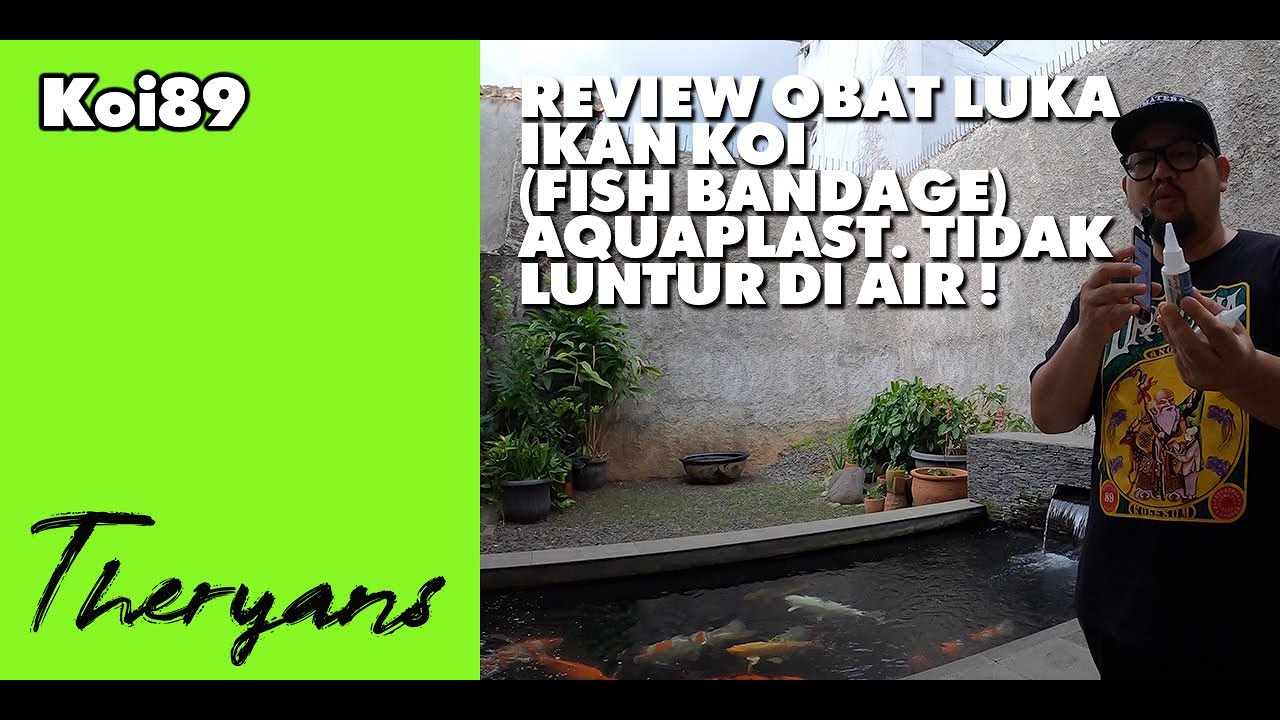 Review Obat Luka Ikan Koi (Fish Bandage) Aquaplast, Tidak Luntur Di Air ...