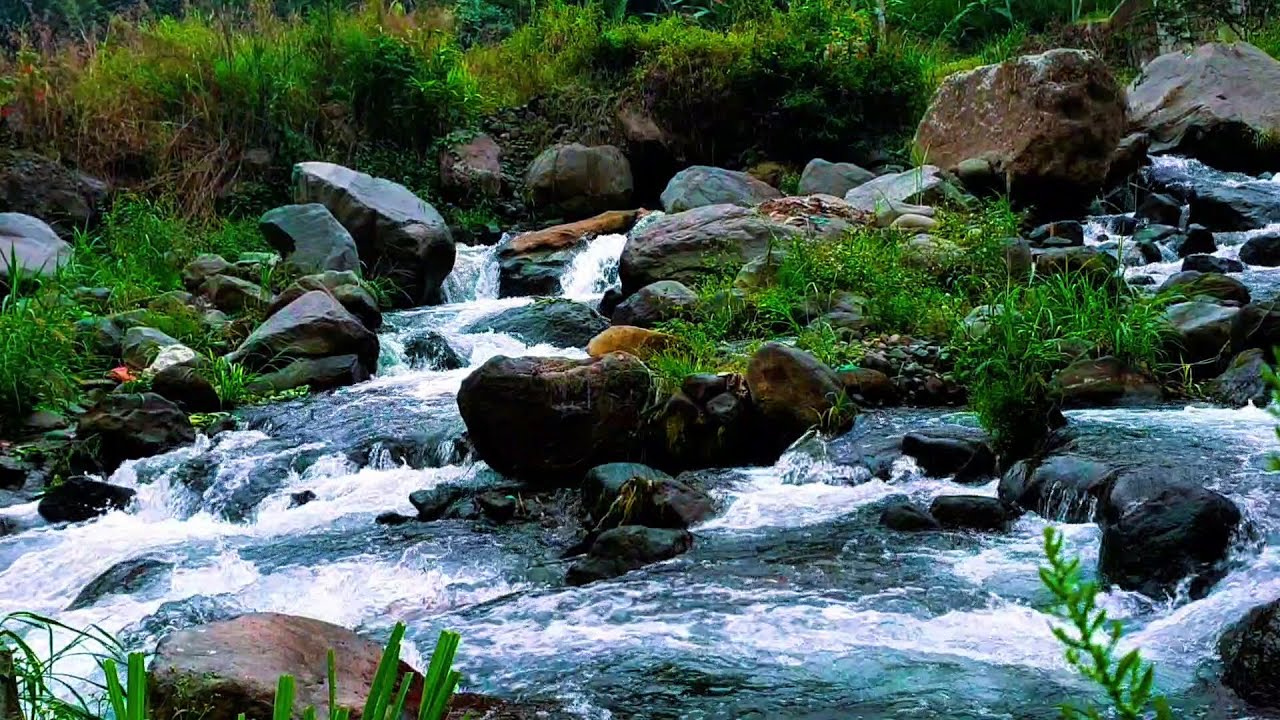 Soothing mountain stream Relaxation Sound river waterfall Sound flowing ...