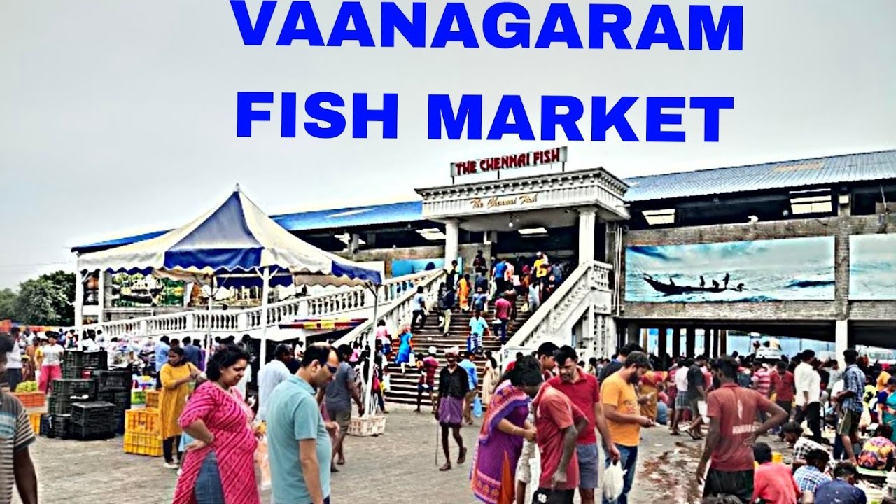 #vanagaram fish market - YouTube