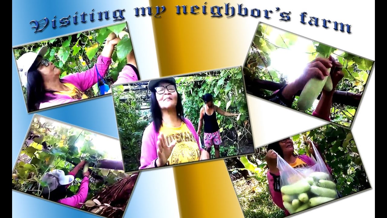 Visiting my neighbor’s farm!!! (Buhay Probinsya) - YouTube