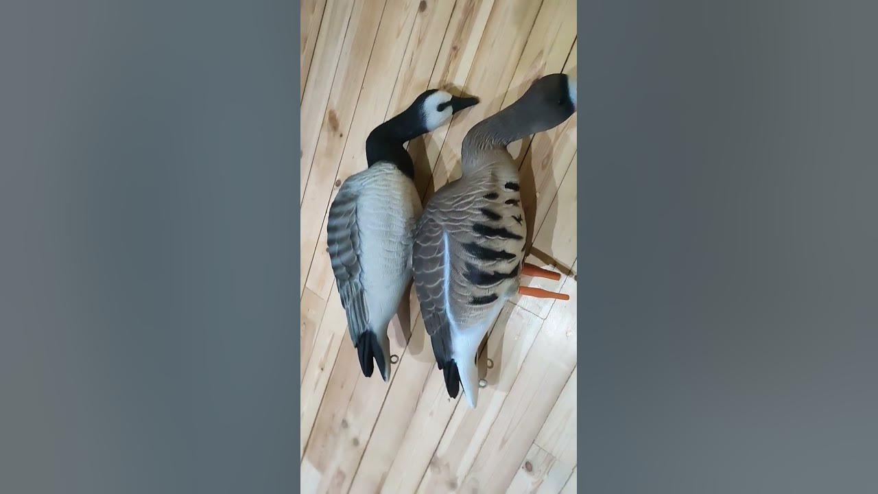 Оскар Декойс Элит 3д чучела гусей - YouTube