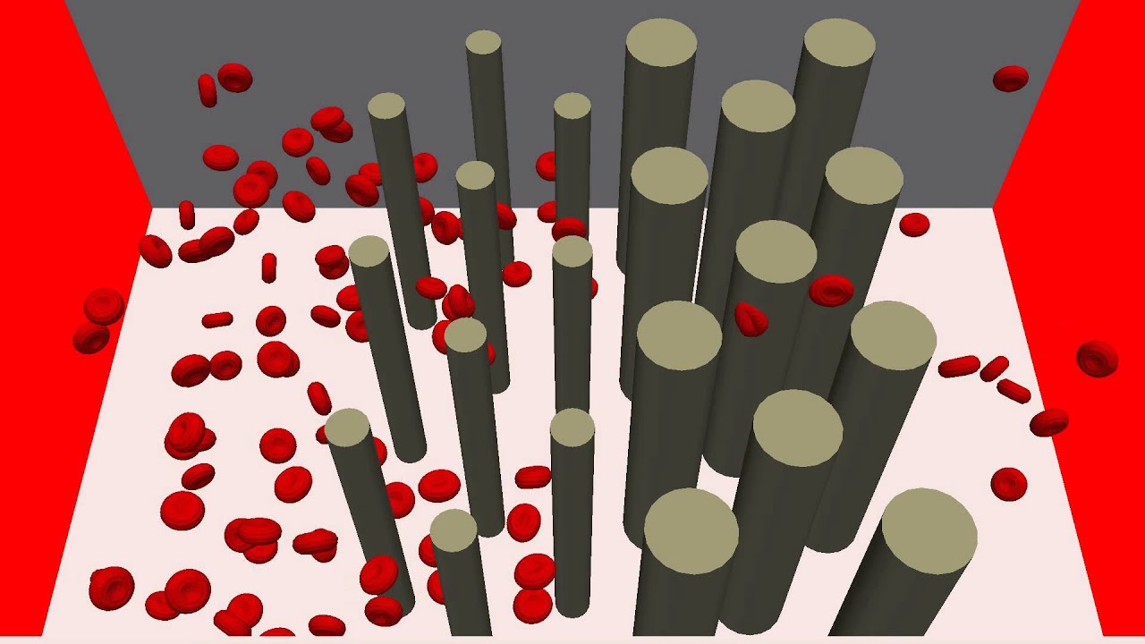 Red blood cells passing microfluidic filter structure - YouTube