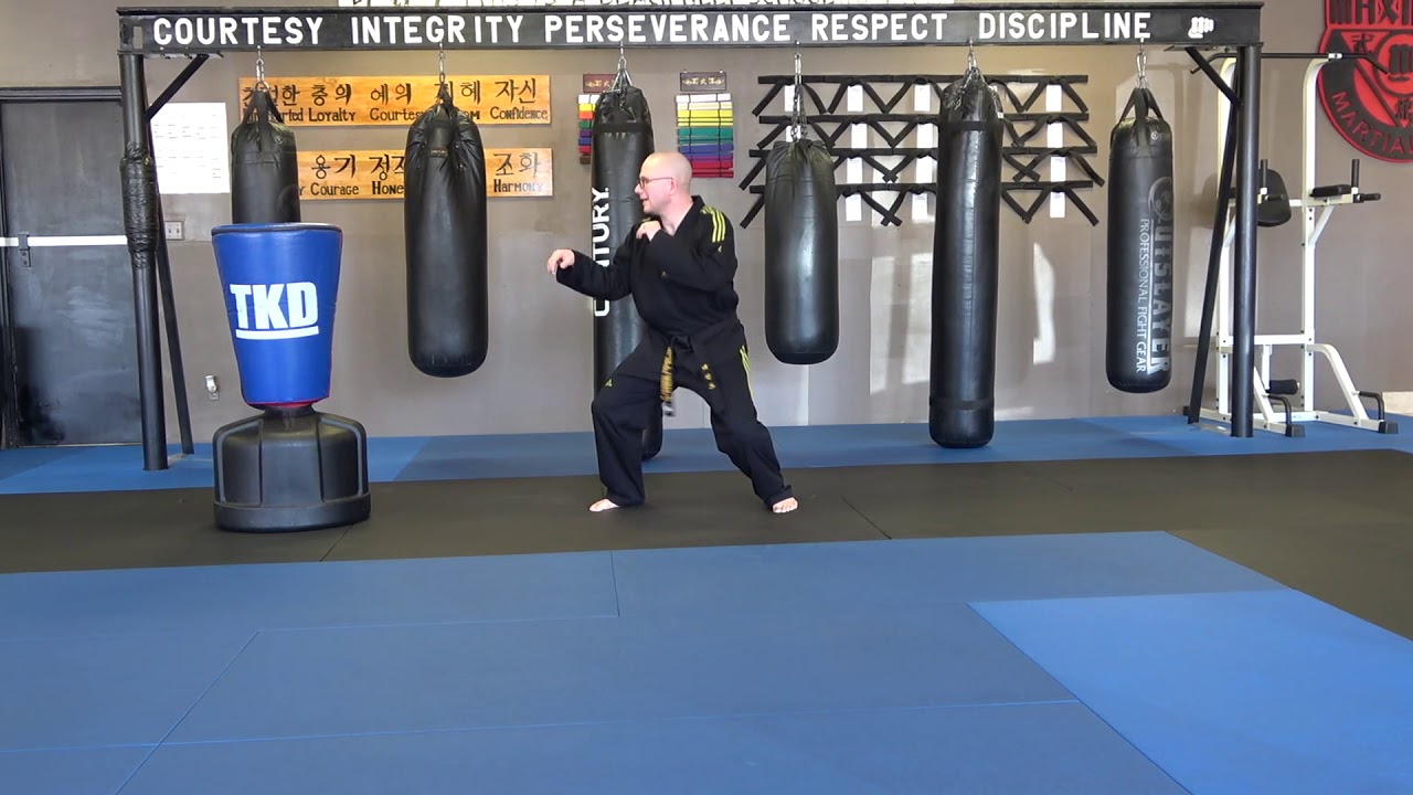 Learning to Launch Forward from Bouncing in Fighting Stance - YouTube
