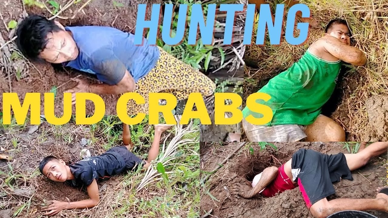 TRADITIONAL HUNTING GIANT MUD CRAB PART 1 - YouTube