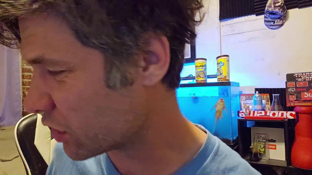 A Famous Hollywood Actor IRL | 📺 tts is on $2 TTS $3 media - YouTube