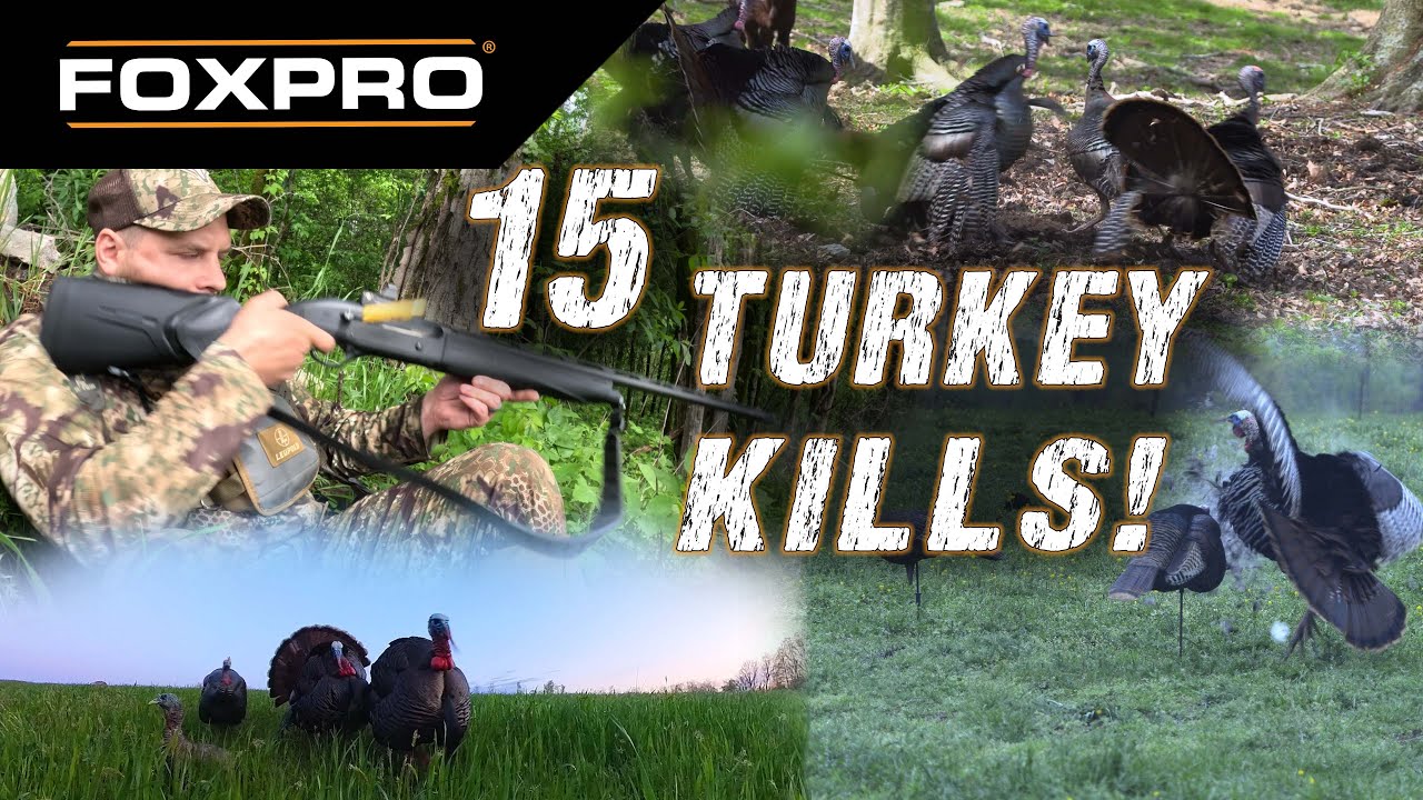 15 Turkey Kill Shots! - Turkey Hunting - YouTube