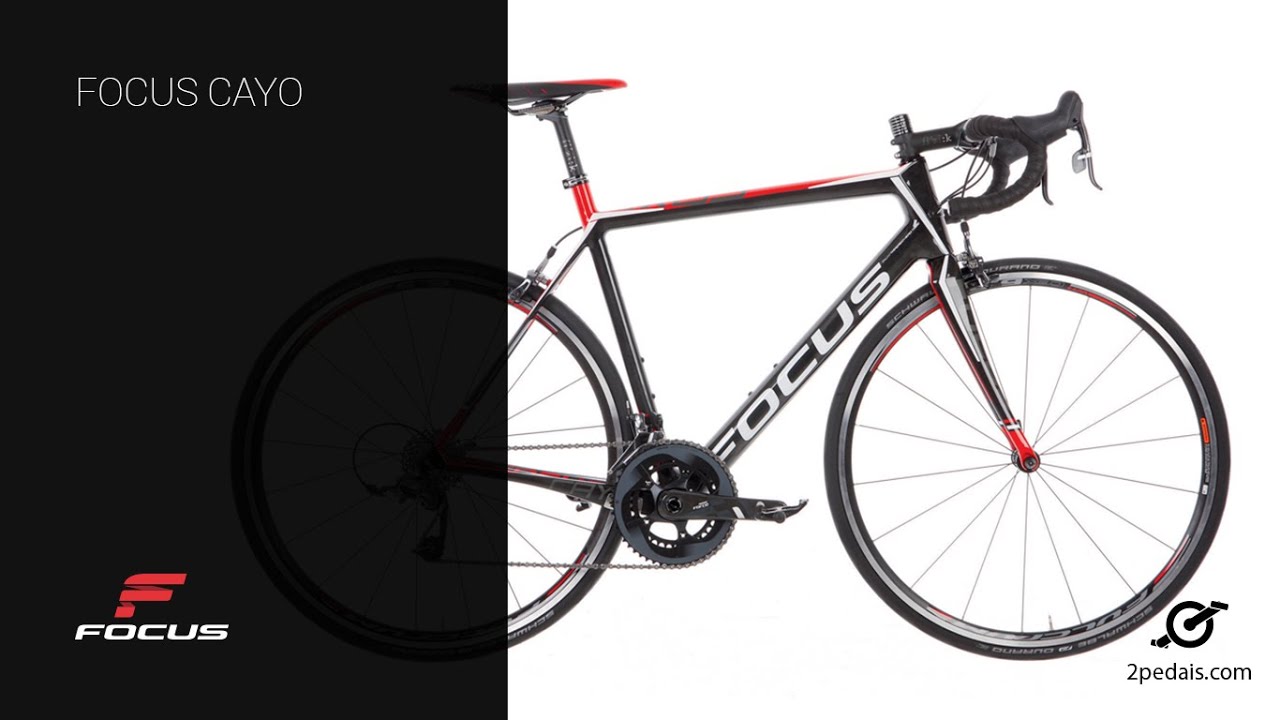 APRESENTAMOS A FOCUS CAYO - YouTube