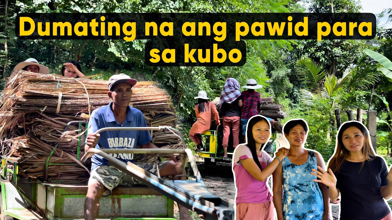 Meron na tayong pawid para sa kubo | Technique sa pagpapahinog ng ...