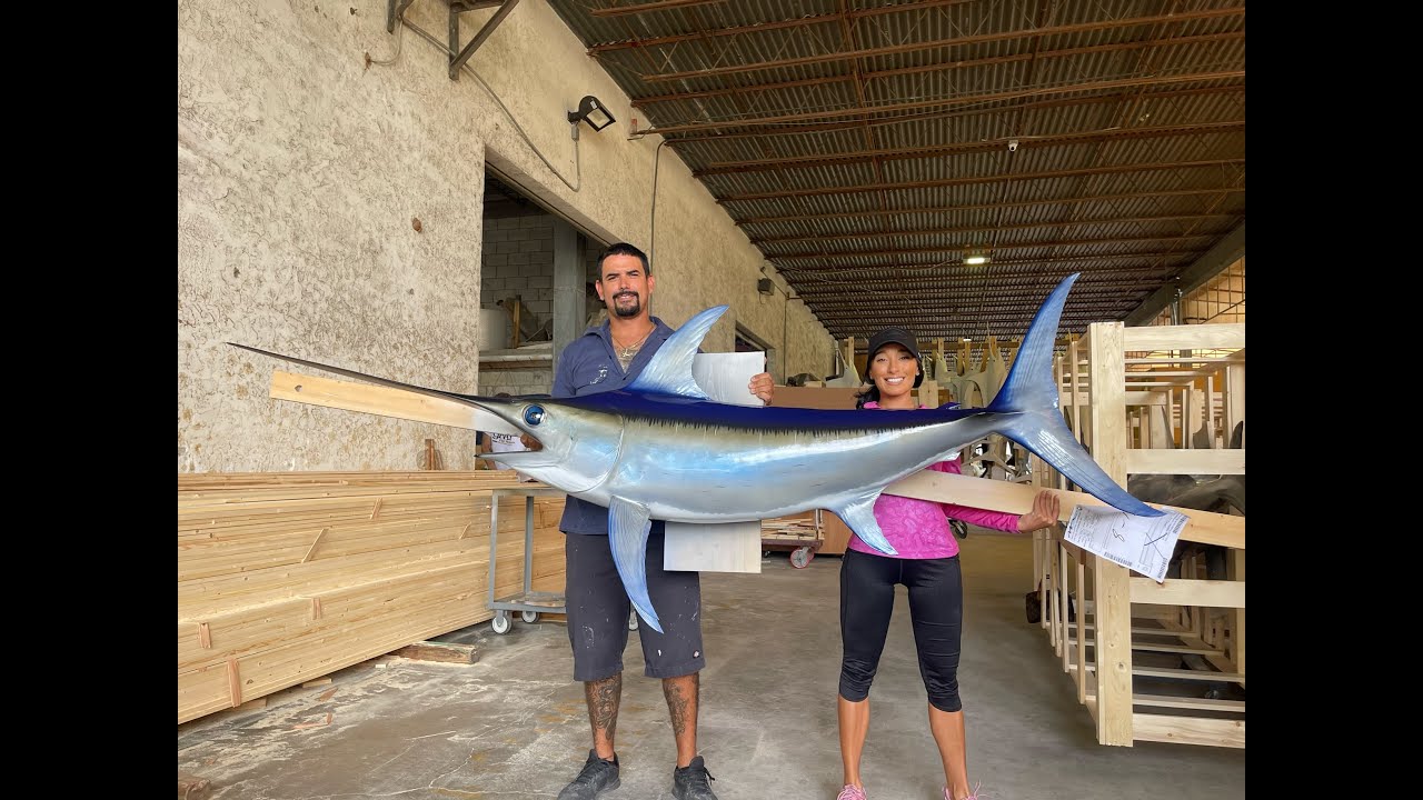 Come Take a tour with us of Gray Taxidermy - YouTube