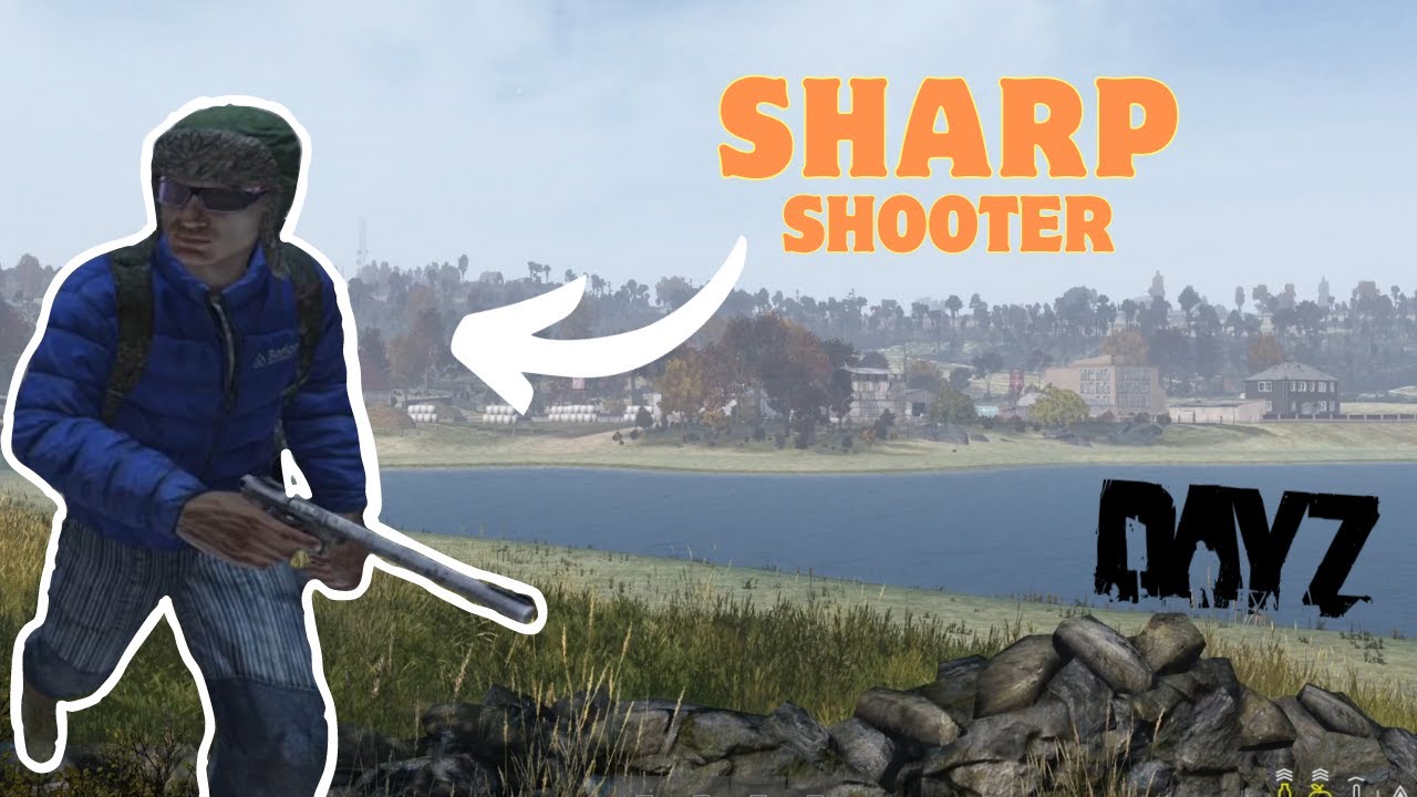 Am I the best shooter on DayZ Alteria? - YouTube