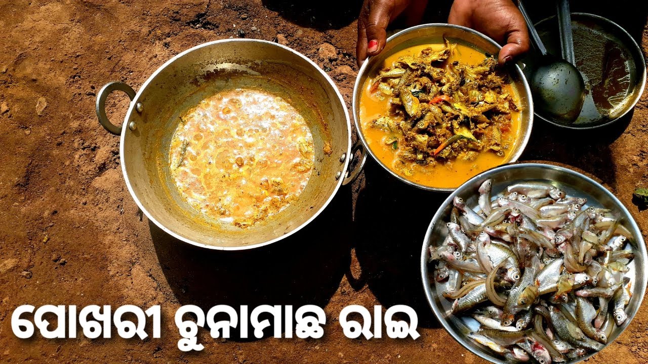 ପୋଖରୀ ଚୁନାମାଛ ରାଇ || Pokhari Chuna Machha Rai || Odisha Village Food ...