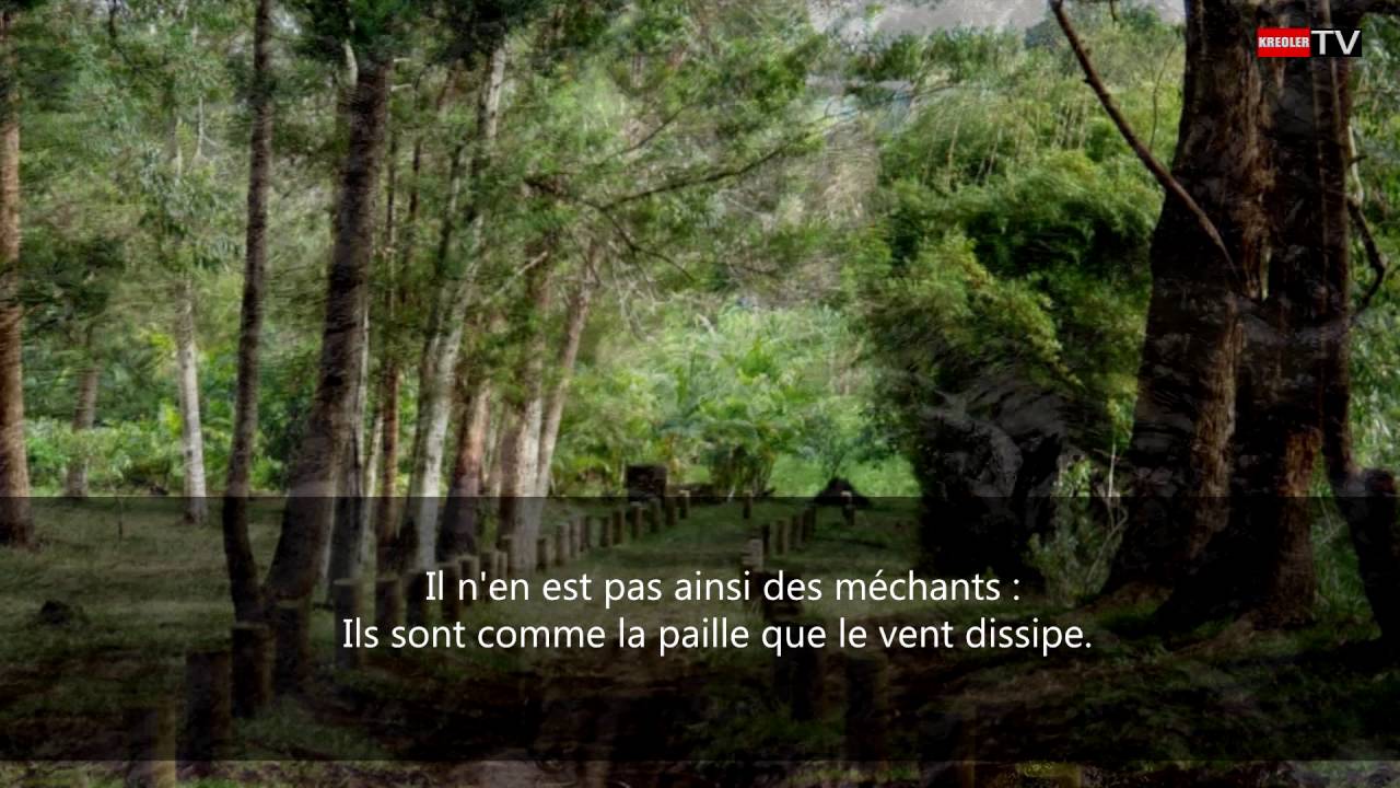 La bible - le livre des psaume - PSAUME 01 - YouTube