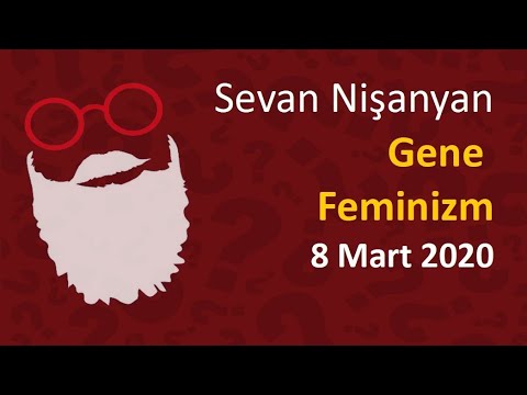Sevan Nişanyan - Gene feminizm