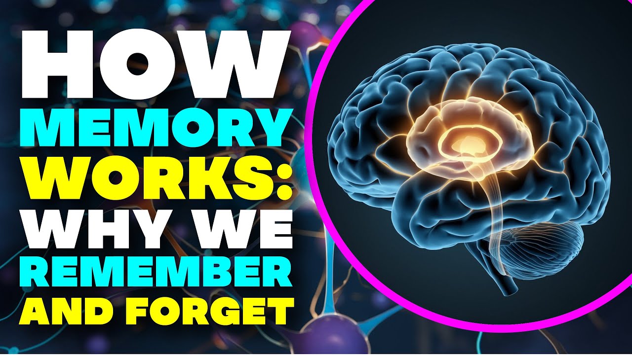 The Science of Memory: How We Remember, Forget, and What Shapes Our ...