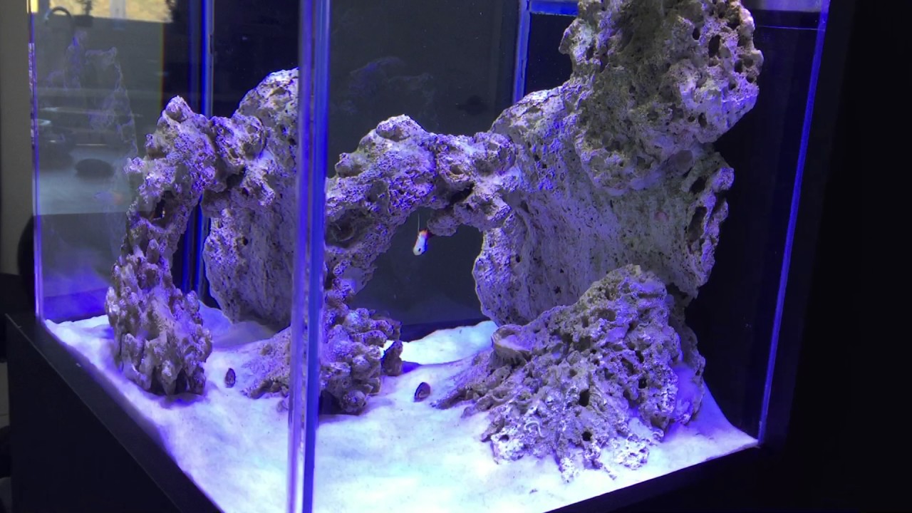Peninsula drop-off tank -First fish! - YouTube