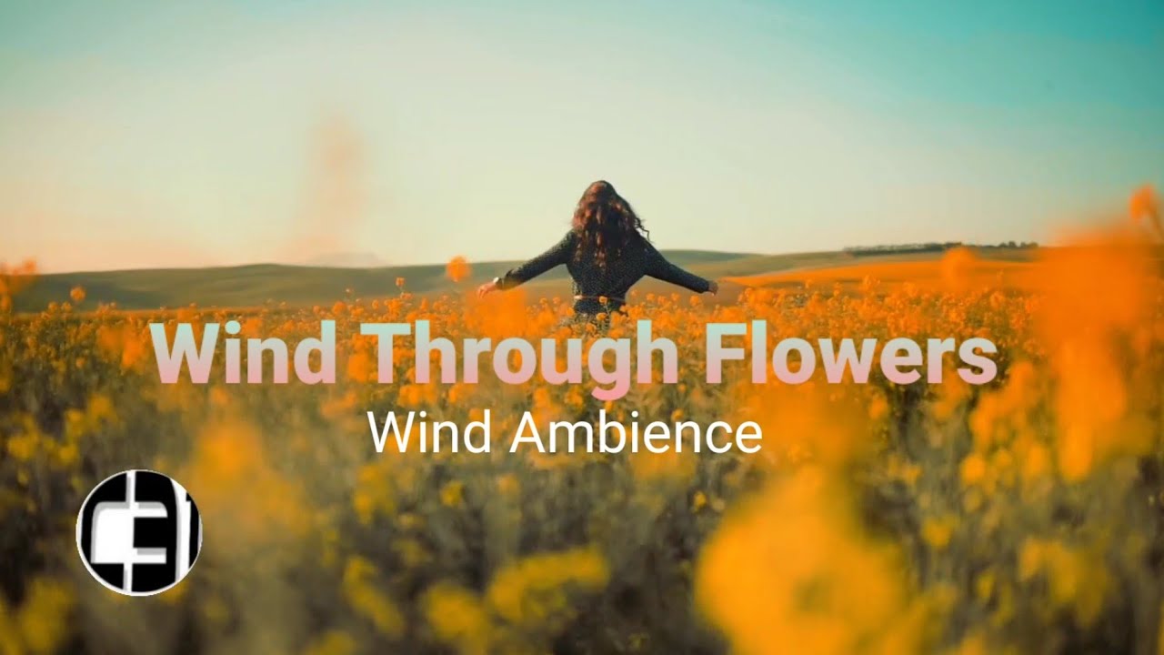 WIND THROUGH FLOWERS | Peaceful Wind Ambience | Walking Through the ...