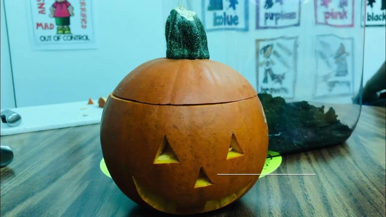 Pumpkin Jack Tutorial - YouTube