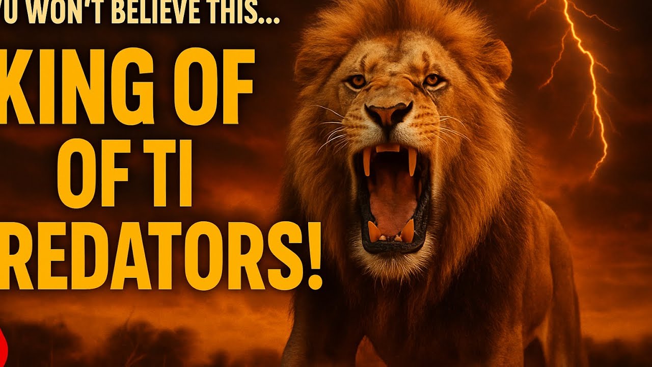 The World’s 5 Most Incredible Predators - YouTube