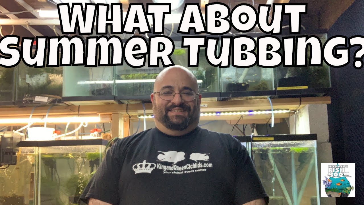 What about Summer Tubbing? Guppy Fish Breeding for profit Tub! - YouTube