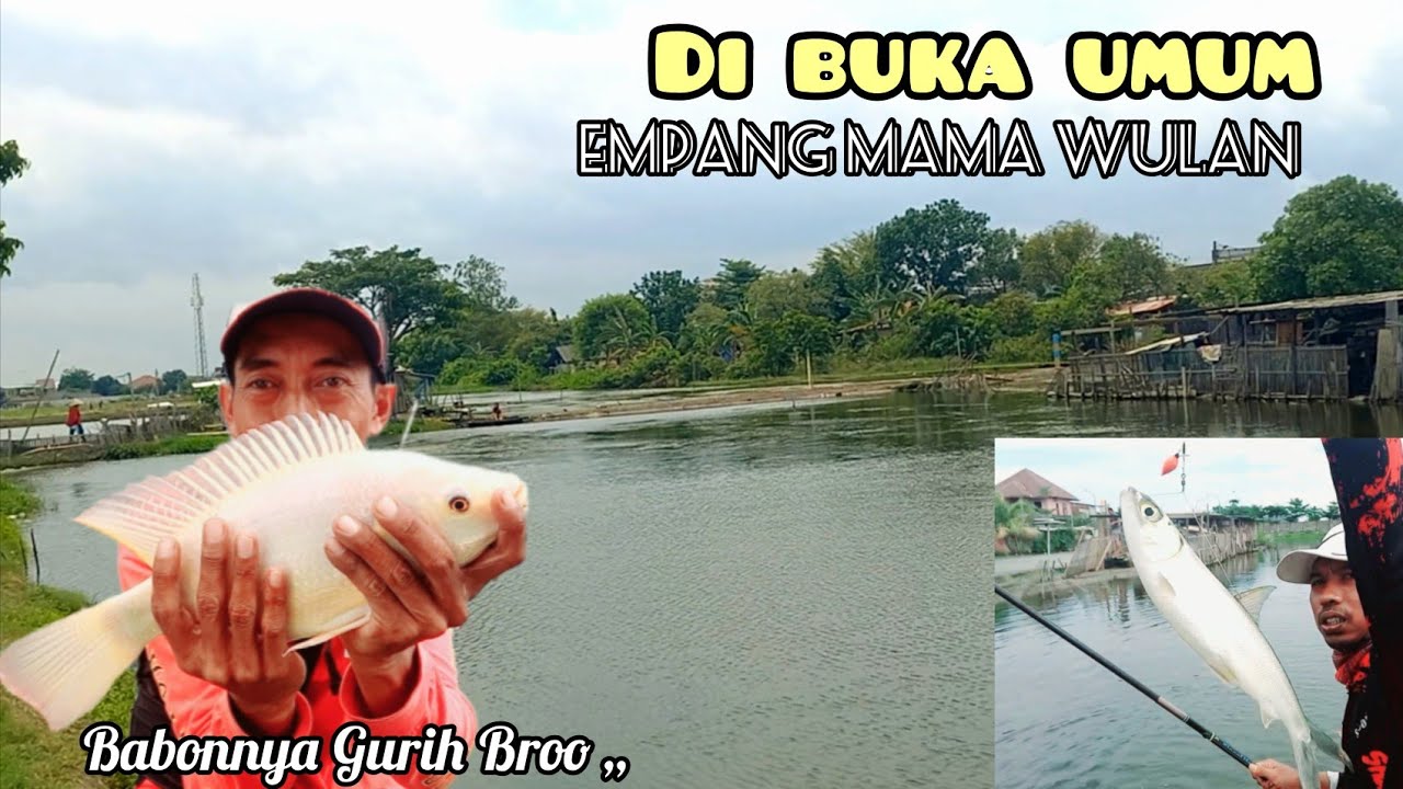 Info Spot Terbaru!!! Mancing Mujair dan Bandeng Empang Mama Wulan ...