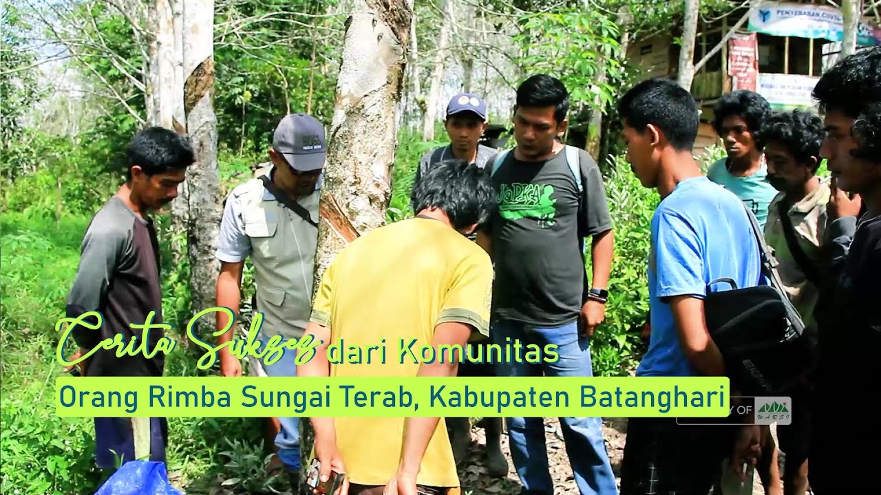 Cerita Sukses dari Komunitas Orang Rimba Sungai Terab, Kabupaten ...