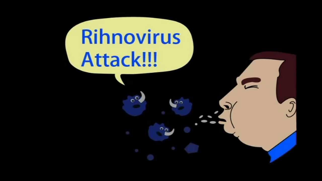 URTI (Upper Respiratory Tract Infection) - YouTube