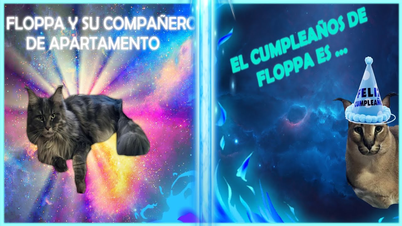 💫Top 10 Curiosidades Sobre FLOPPA Que Quizás No Sabias Y Te ...