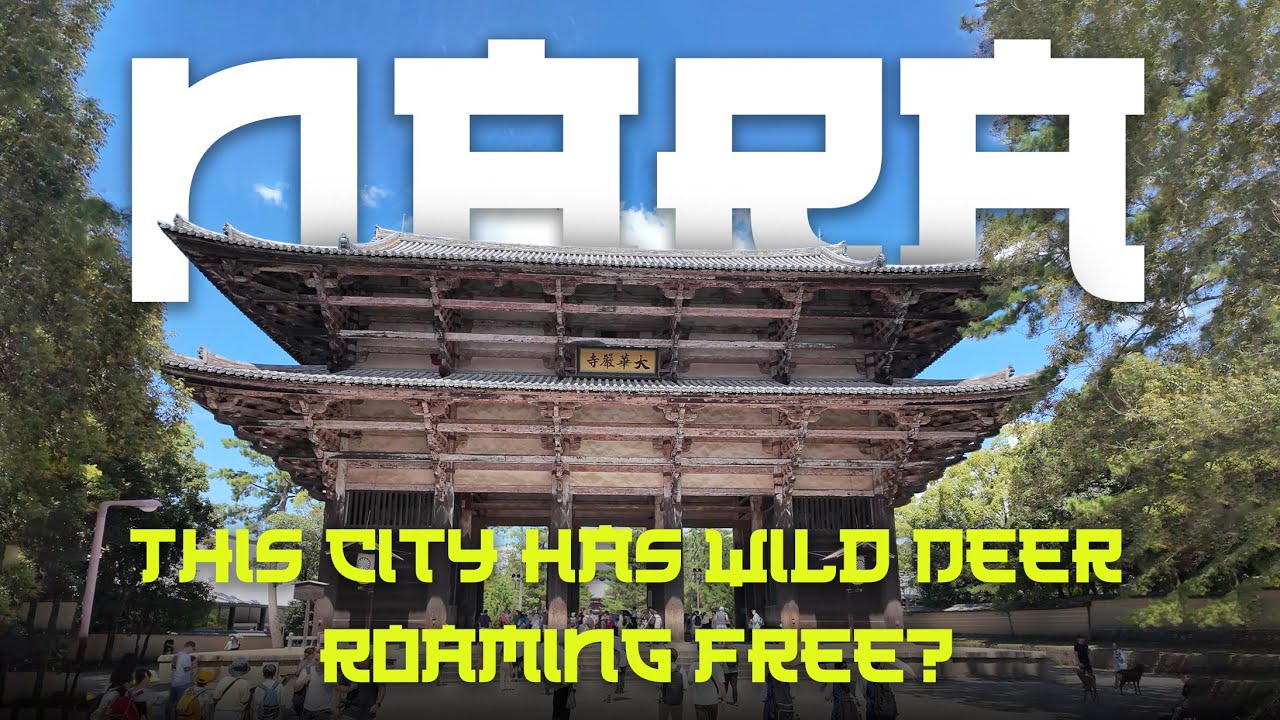 Japan’s Most Magical City? Inside Nara’s Mystical World of Deer and ...