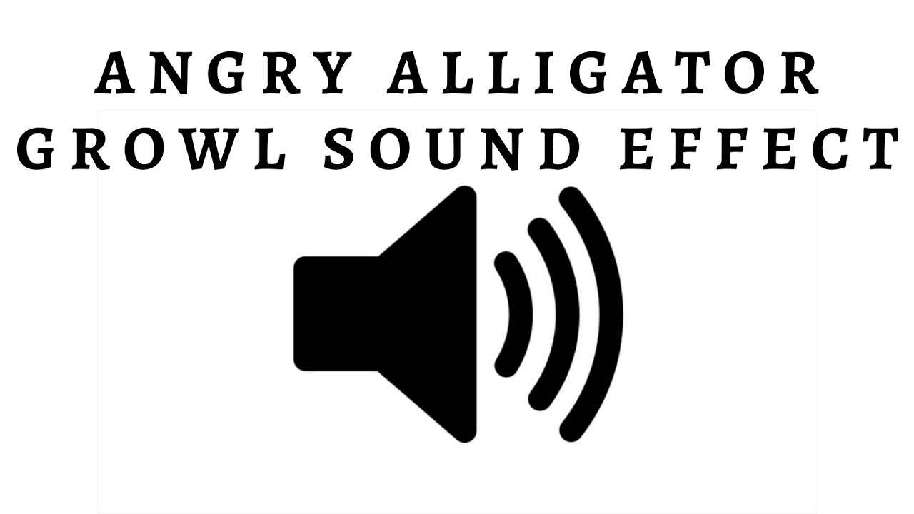 Angry Alligator Growl Sound Effect - YouTube