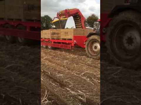 Pf trailers potato box trailer with hydraulic walkway and box push ...