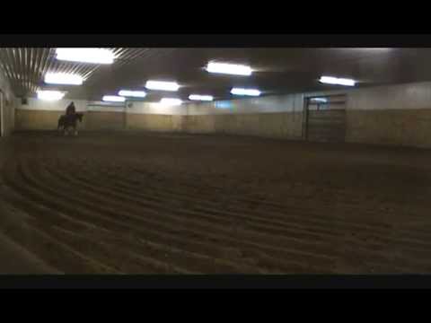 Miss Spanish Shiner - YouTube